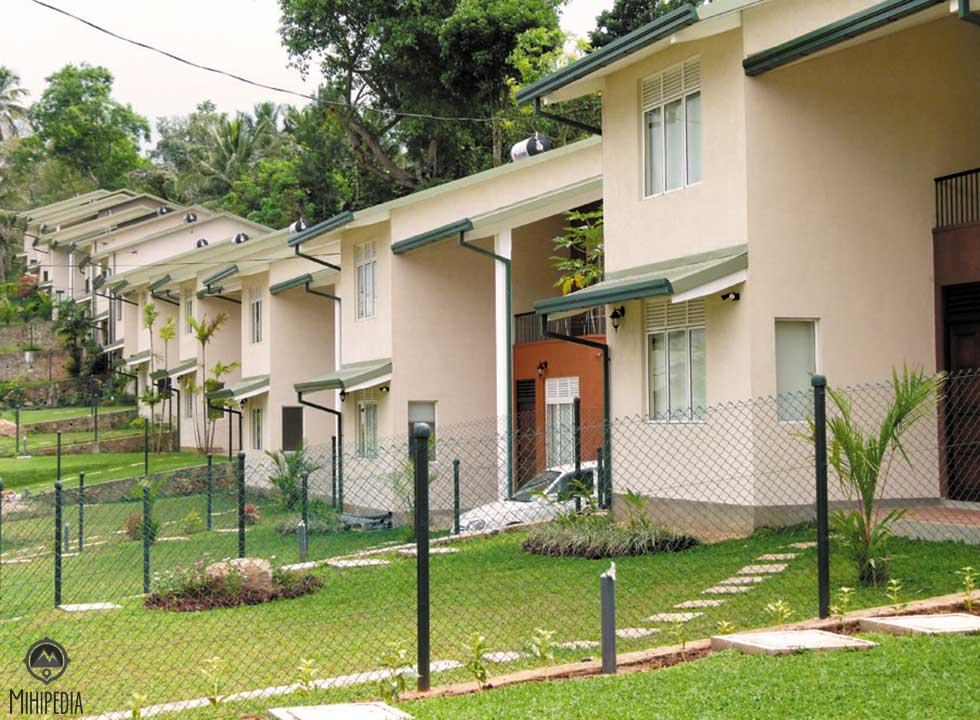 Chilling at the Victoria Range. Digana Sri Lanka – Mihipedia.lk