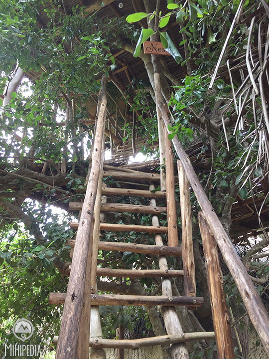 A Tree Hut Experience. Wiravila Sri Lanka – Mihipedia.lk