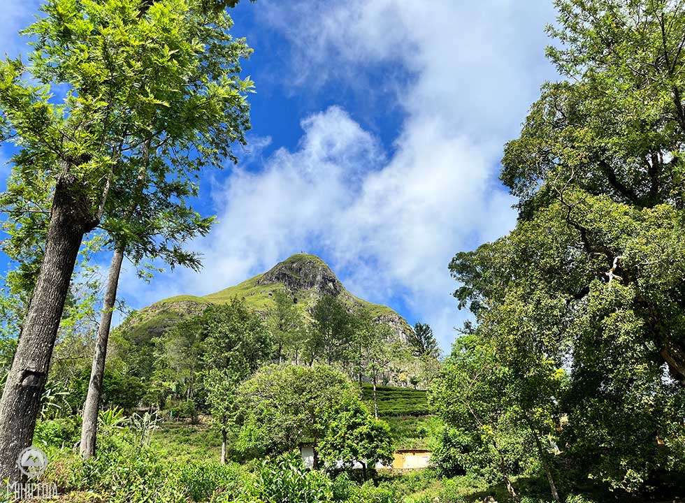 Climbing Narangala. Badulla Sri Lanka – Mihipedia.lk