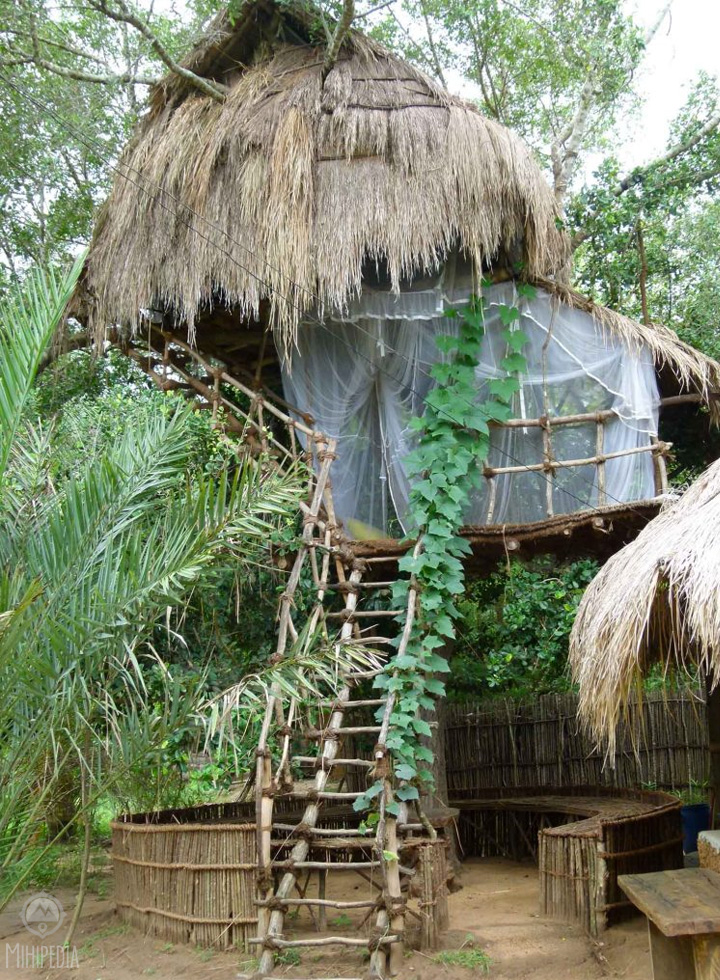 A Tree Hut Experience. Wiravila Sri Lanka – Mihipedia.lk