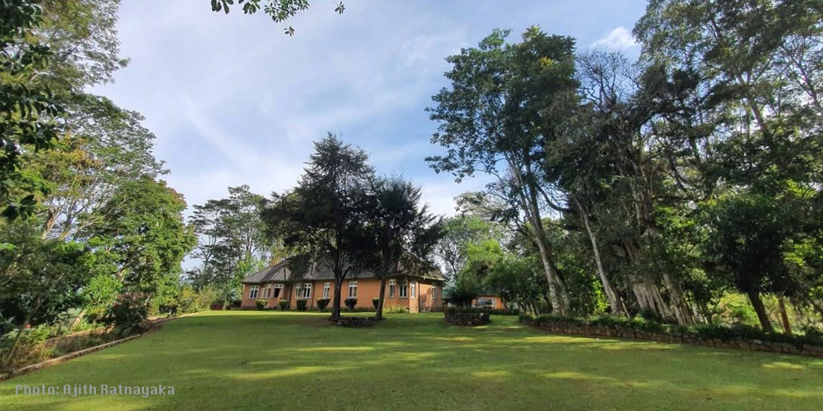 Weekend at Tillicoultry. Lindula Sri Lanka – Mihipedia.lk