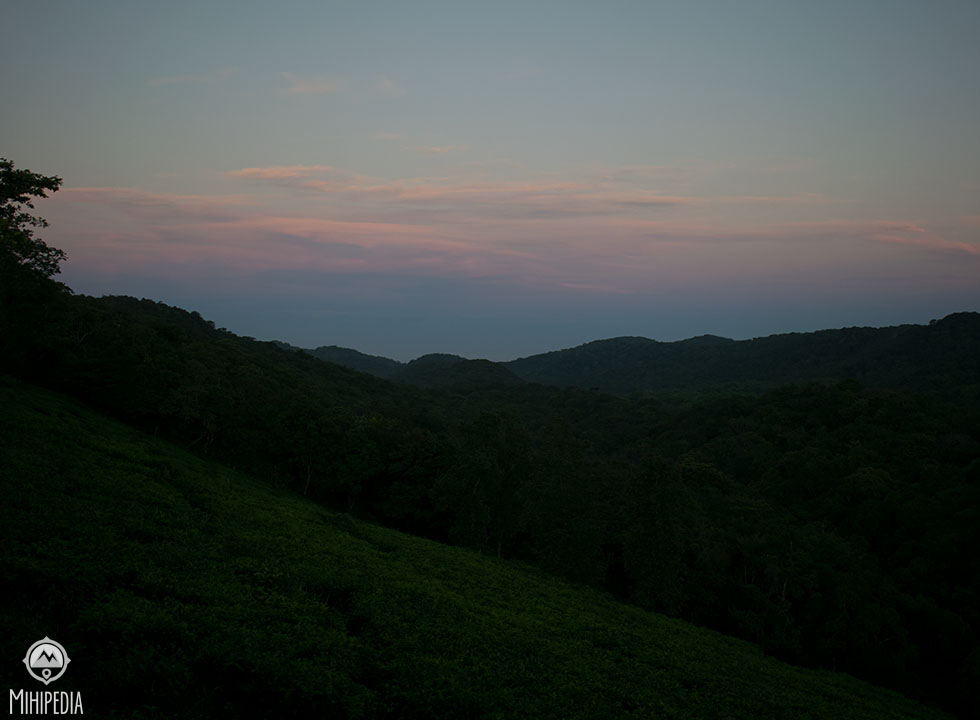 Morningside of Sinharaja Rainforest. Suriyakanda Sri Lanka – Mihipedia.lk