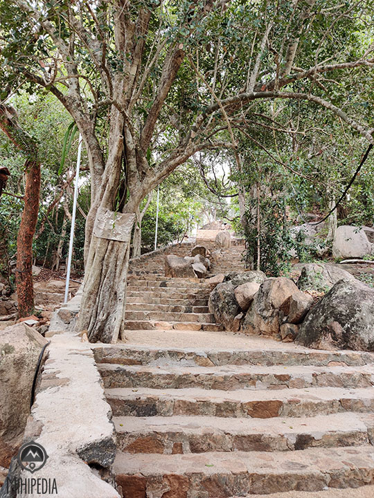 steps to go up – Mihipedia.lk