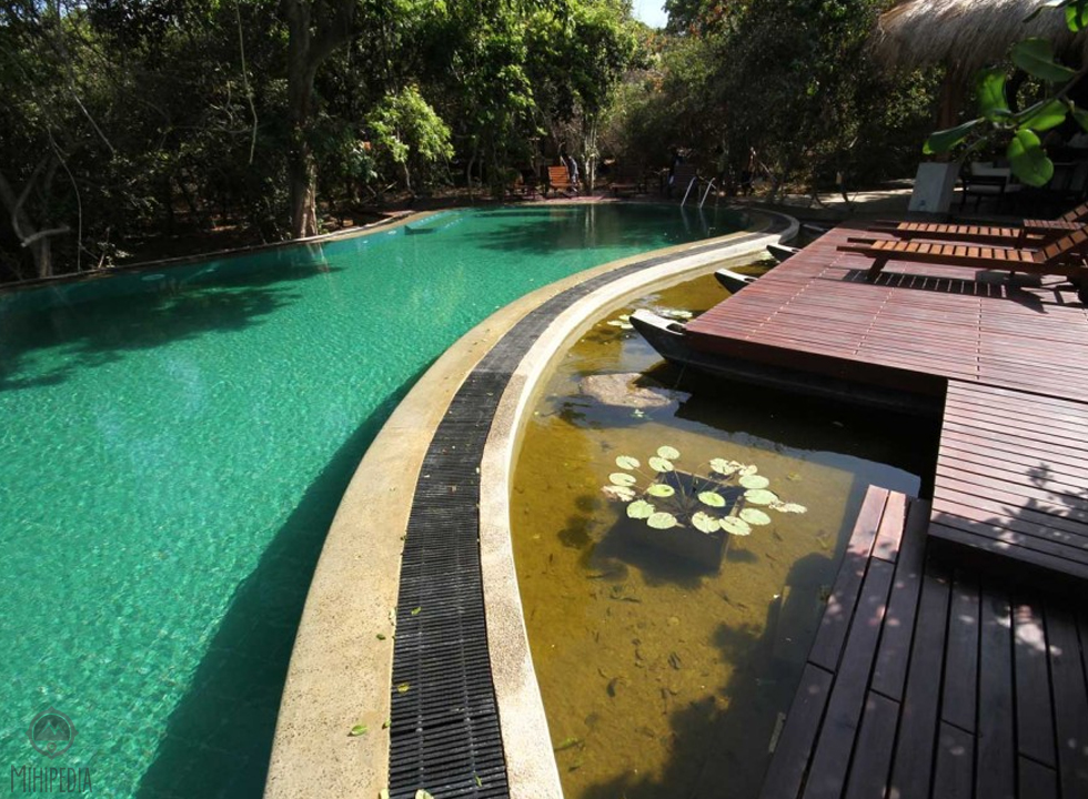 Stunning Jungle Beach Resort. Kuchchaveli Sri Lanka – Mihipedia.lk