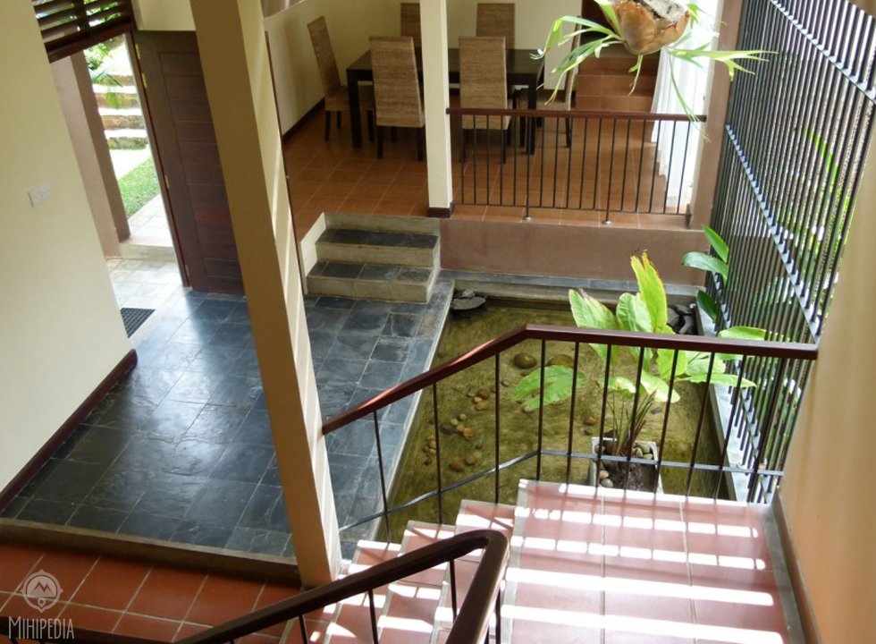 Chilling at the Victoria Range. Digana Sri Lanka – Mihipedia.lk