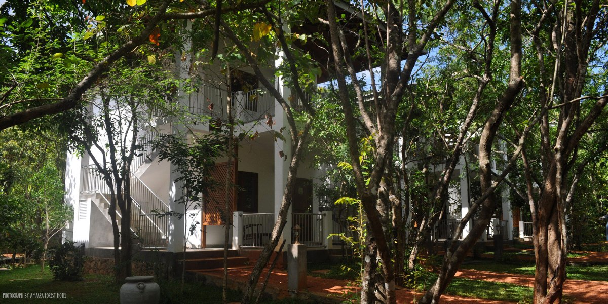 Sprawling Amaara Forest Hotel. Sigiriya Sri Lanka – Mihipedia.lk