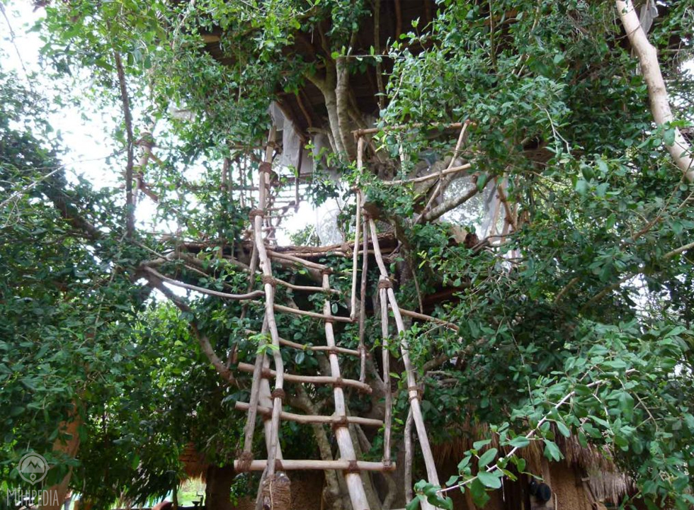 A Tree Hut Experience. Wiravila Sri Lanka – Mihipedia.lk