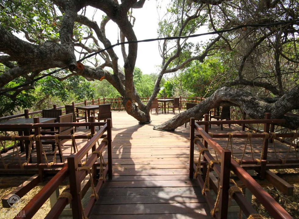 Stunning Jungle Beach Resort. Kuchchaveli Sri Lanka – Mihipedia.lk