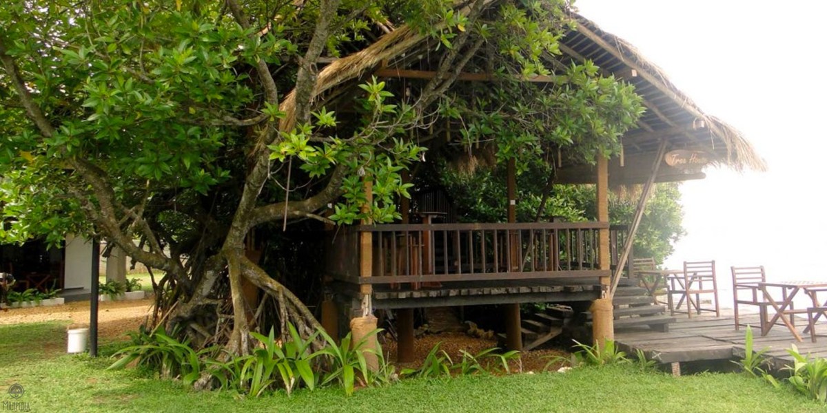 Loving the Amagi Lagoon Resort and Spa. Negombo Sri Lanka – Mihipedia.lk