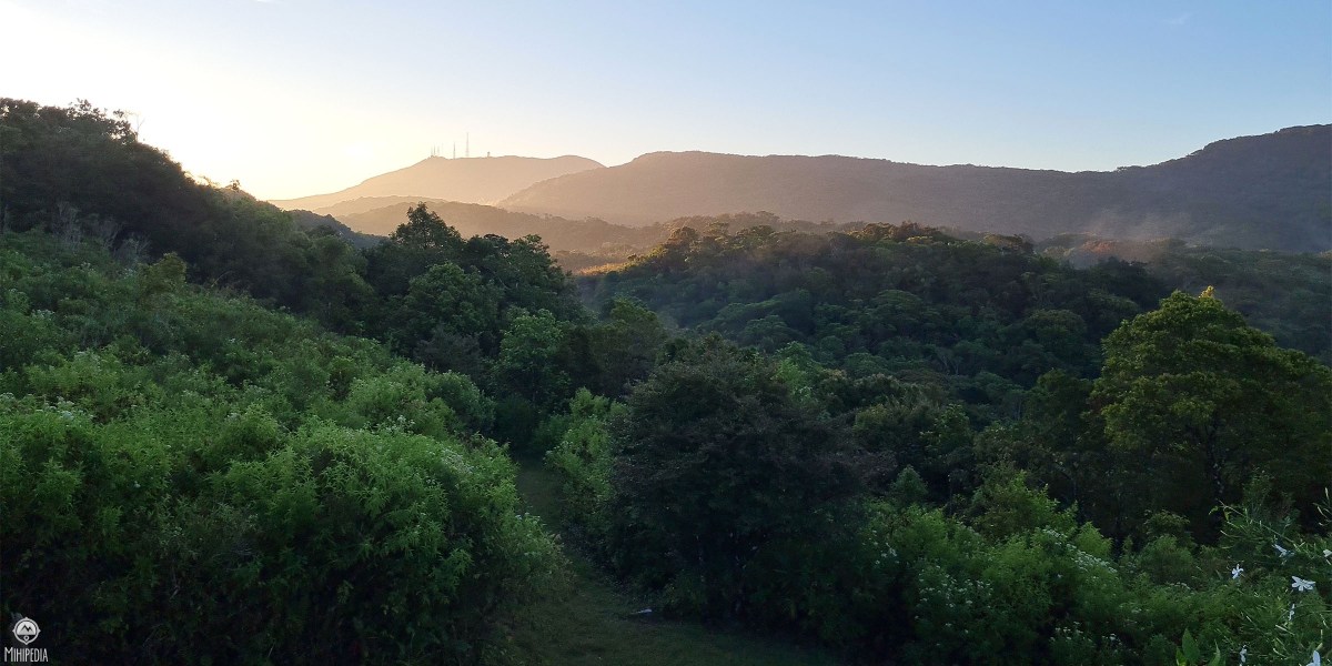 Morningside of Sinharaja Rainforest. Suriyakanda Sri Lanka – Mihipedia.lk