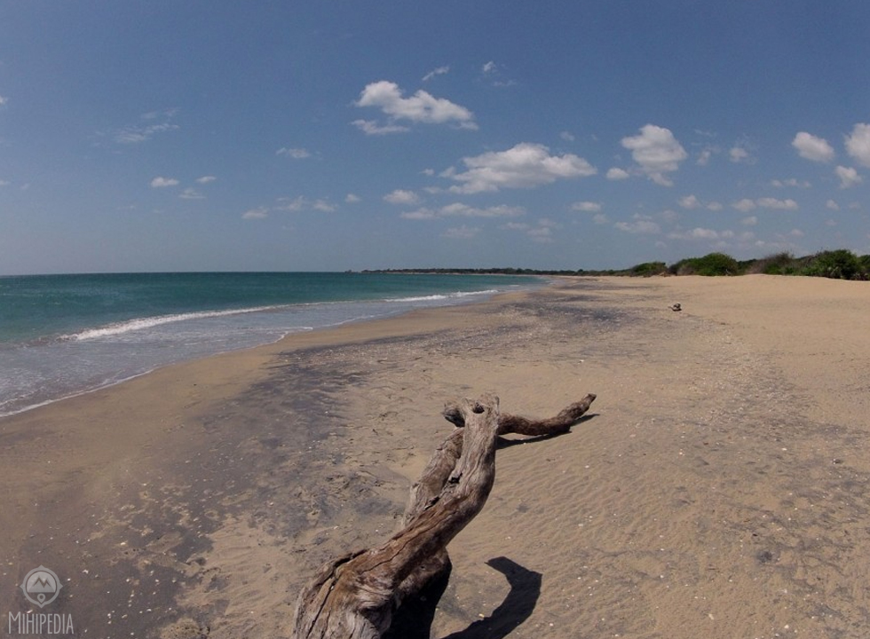 Stunning Jungle Beach Resort. Kuchchaveli Sri Lanka – Mihipedia.lk