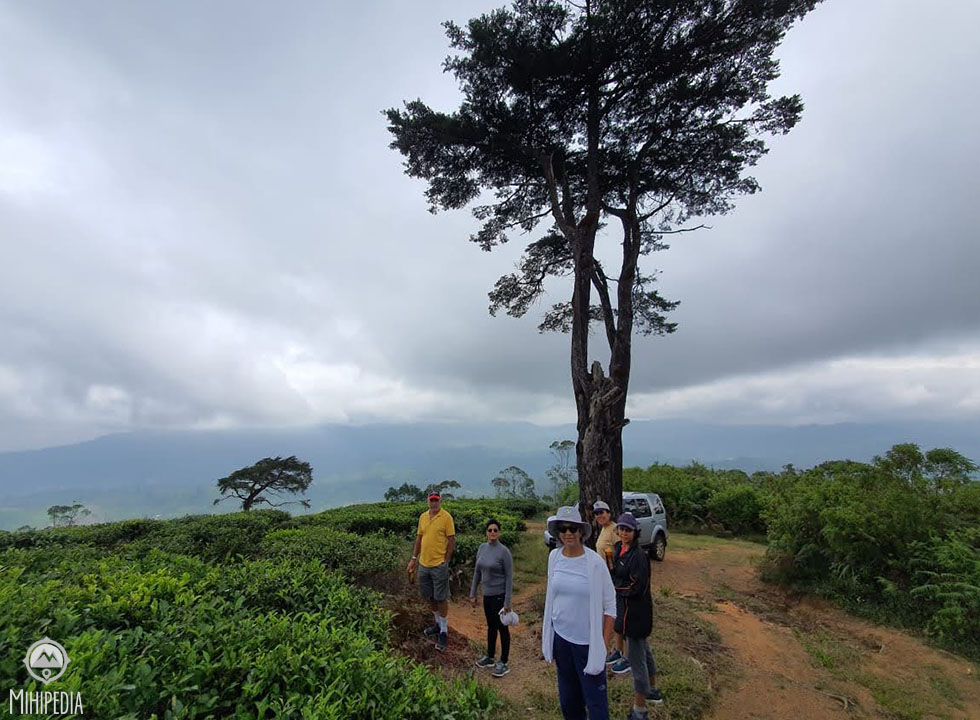 Weekend at Tillicoultry. Lindula Sri Lanka – Mihipedia.lk