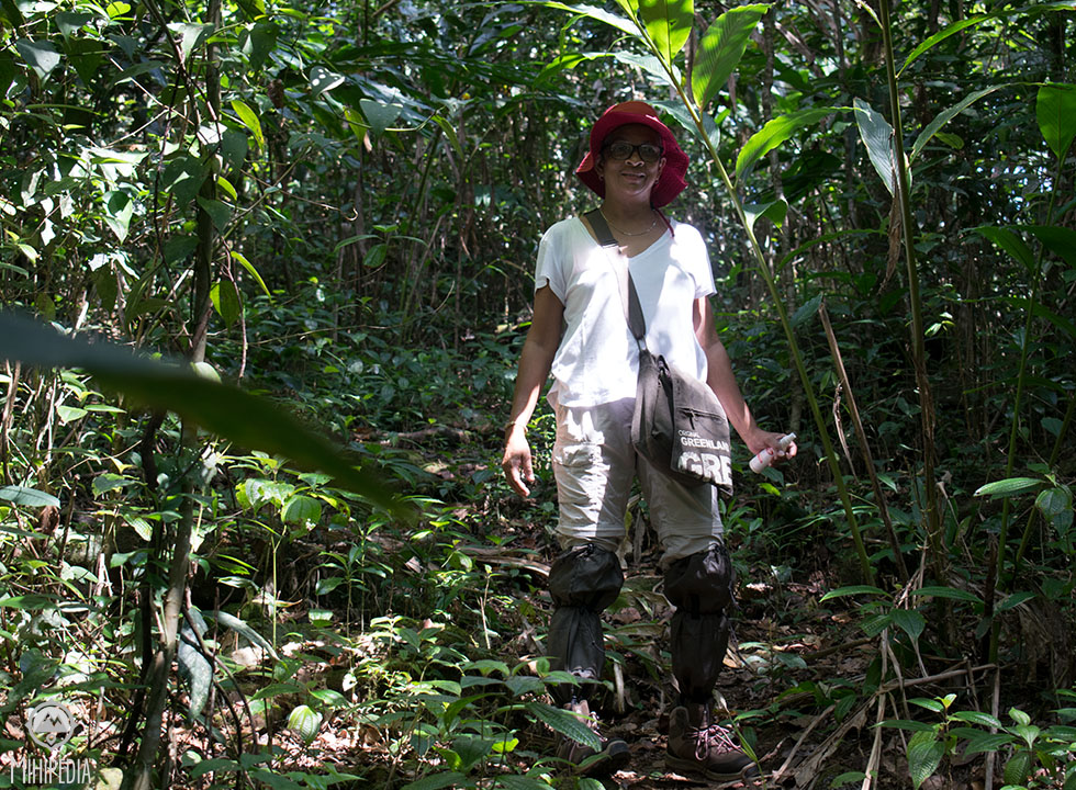 Morningside of Sinharaja Rainforest. Suriyakanda Sri Lanka – Mihipedia.lk