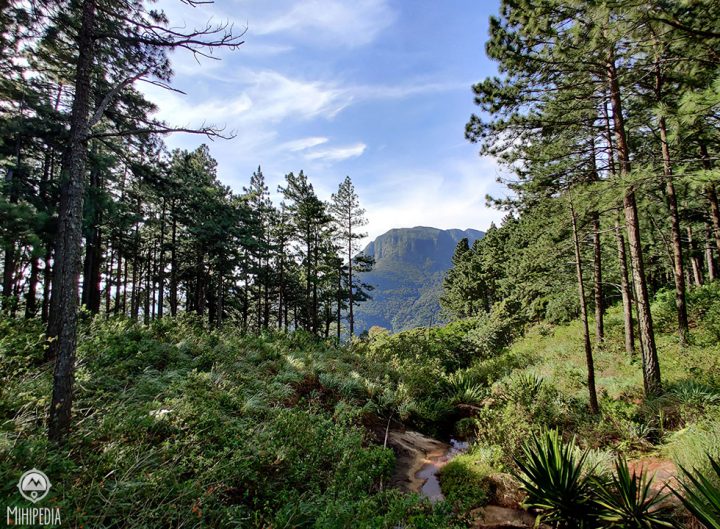 Mountain Views and Hidden Waterfalls. Gammaduwa Sri Lanka – Mihipedia.lk