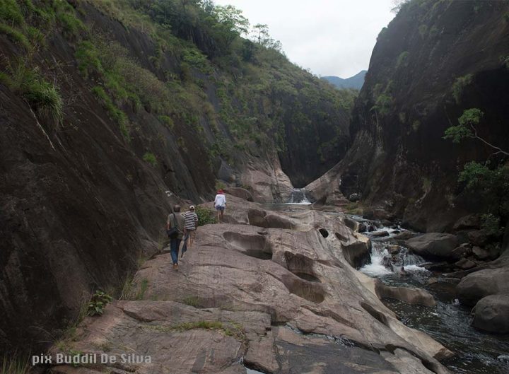 Trek to Pahanthuduwa Waterfall. Belihuloya Sri Lanka – Mihipedia.lk