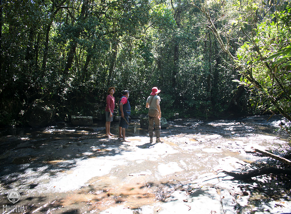 Morningside of Sinharaja Rainforest. Suriyakanda Sri Lanka – Mihipedia.lk
