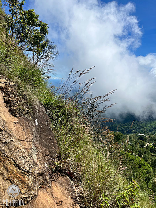 Climbing Narangala. Badulla Sri Lanka – Mihipedia.lk