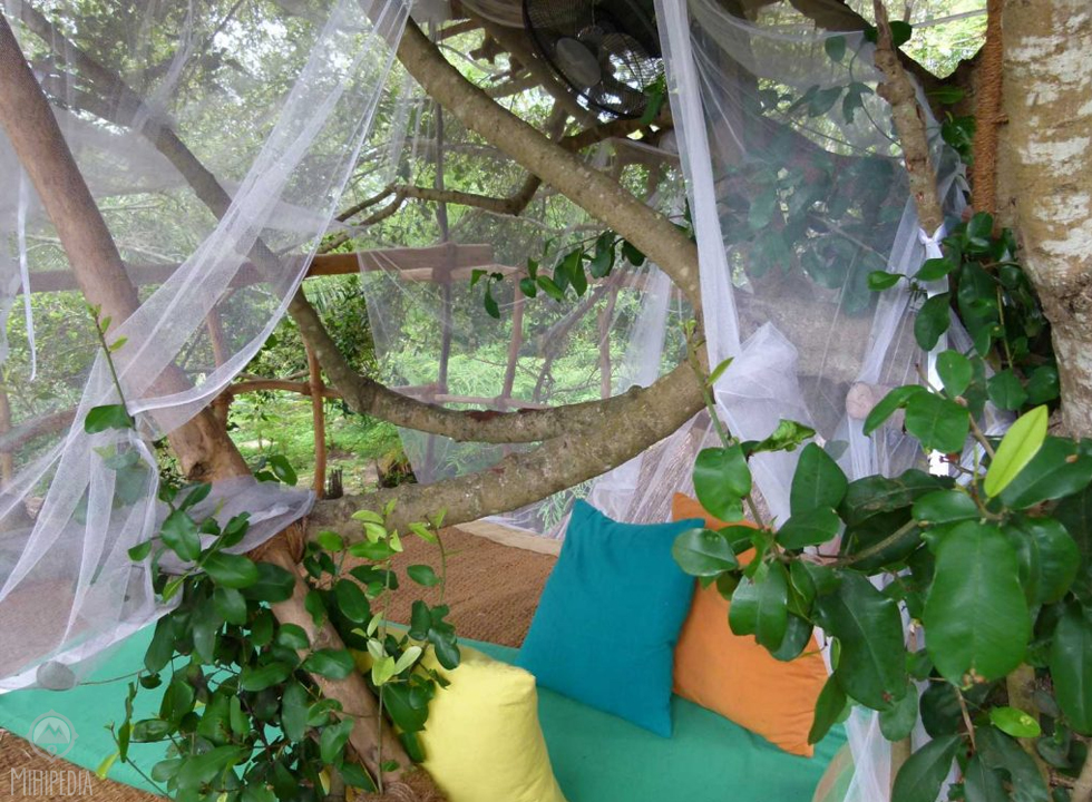 A Tree Hut Experience. Wiravila Sri Lanka – Mihipedia.lk