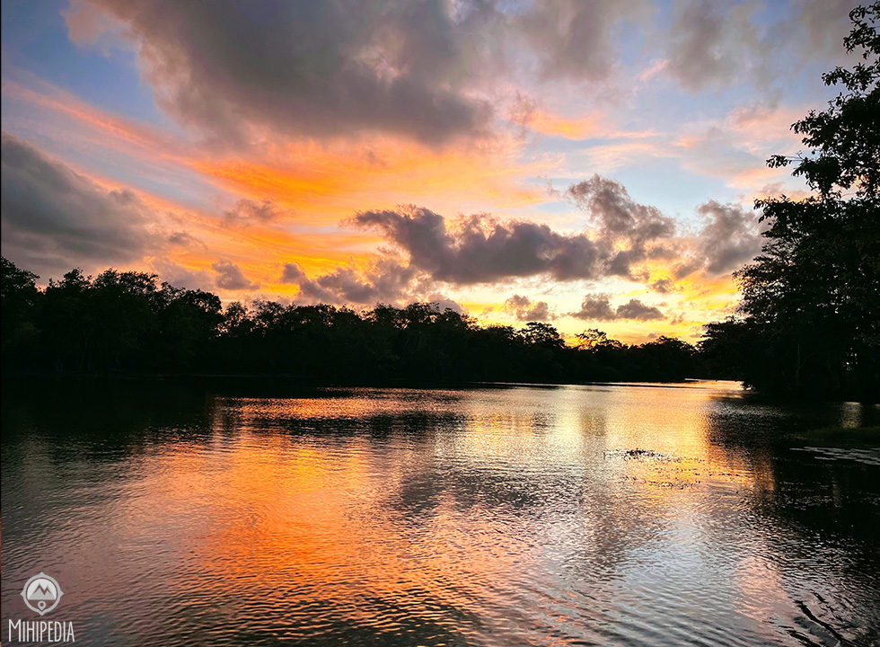 Kala Oya Night Safari. Eluvankulama Sri Lanka – Mihipedia.lk