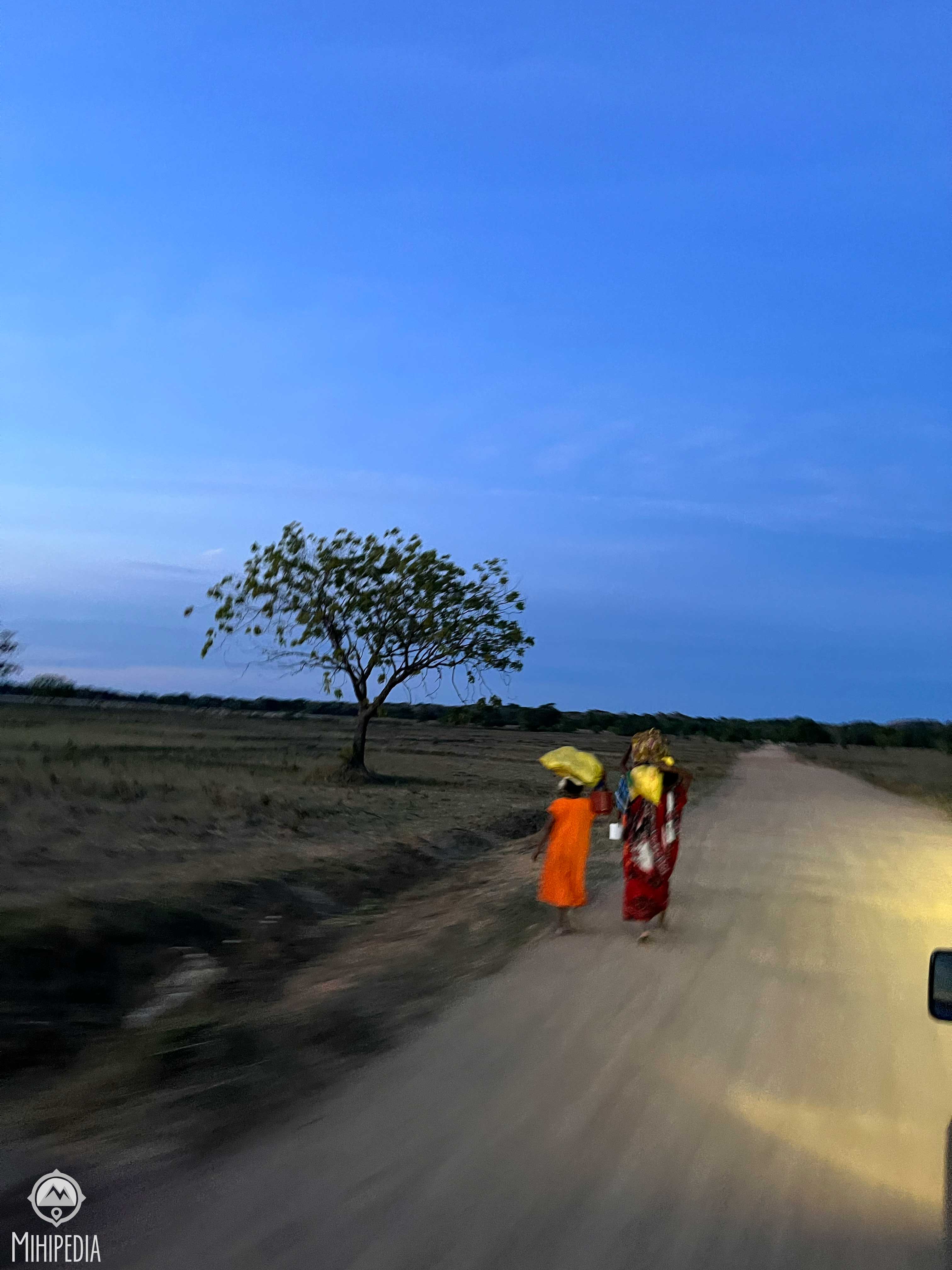 Pada Yatra: A Journey of Faith and Perseverance. Kumana Sri Lanka ...