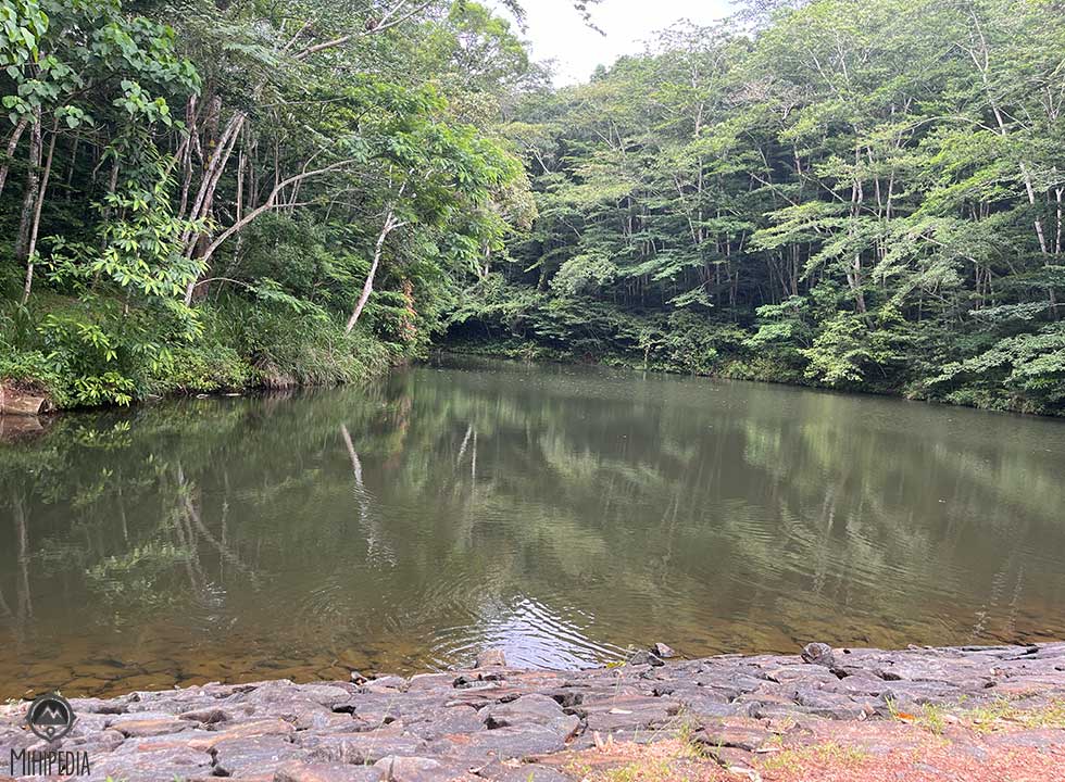 Exploring Dunumadalawa. Kandy Sri Lanka – Mihipedia.lk