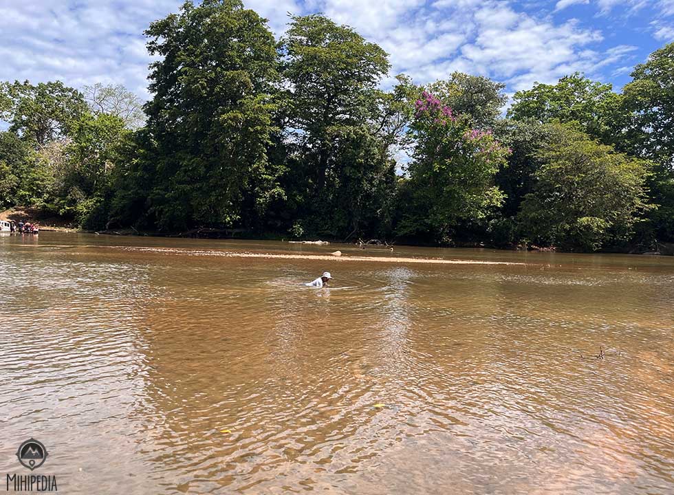 Pada Yatra: A Journey of Faith and Perseverance. Kumana Sri Lanka ...