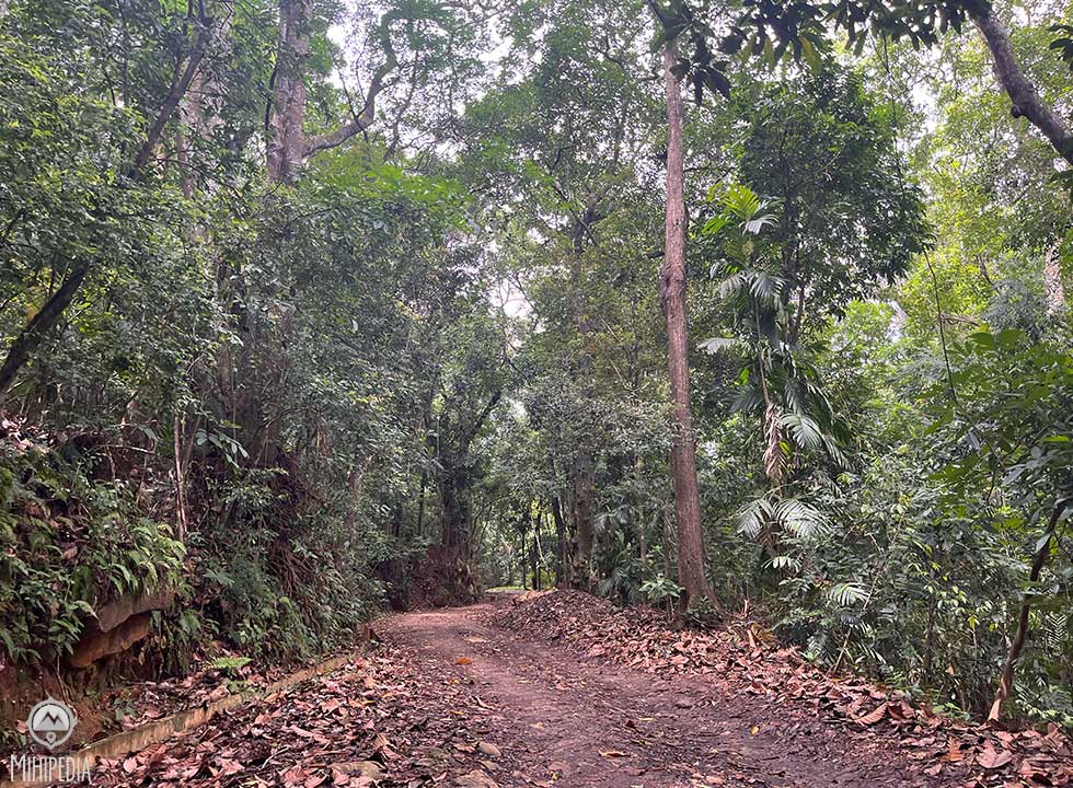 Exploring Dunumadalawa. Kandy Sri Lanka – Mihipedia.lk