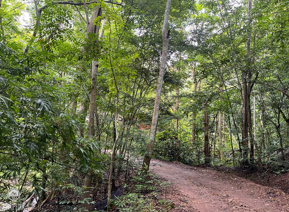 Exploring Dunumadalawa. Kandy Sri Lanka – Mihipedia.lk