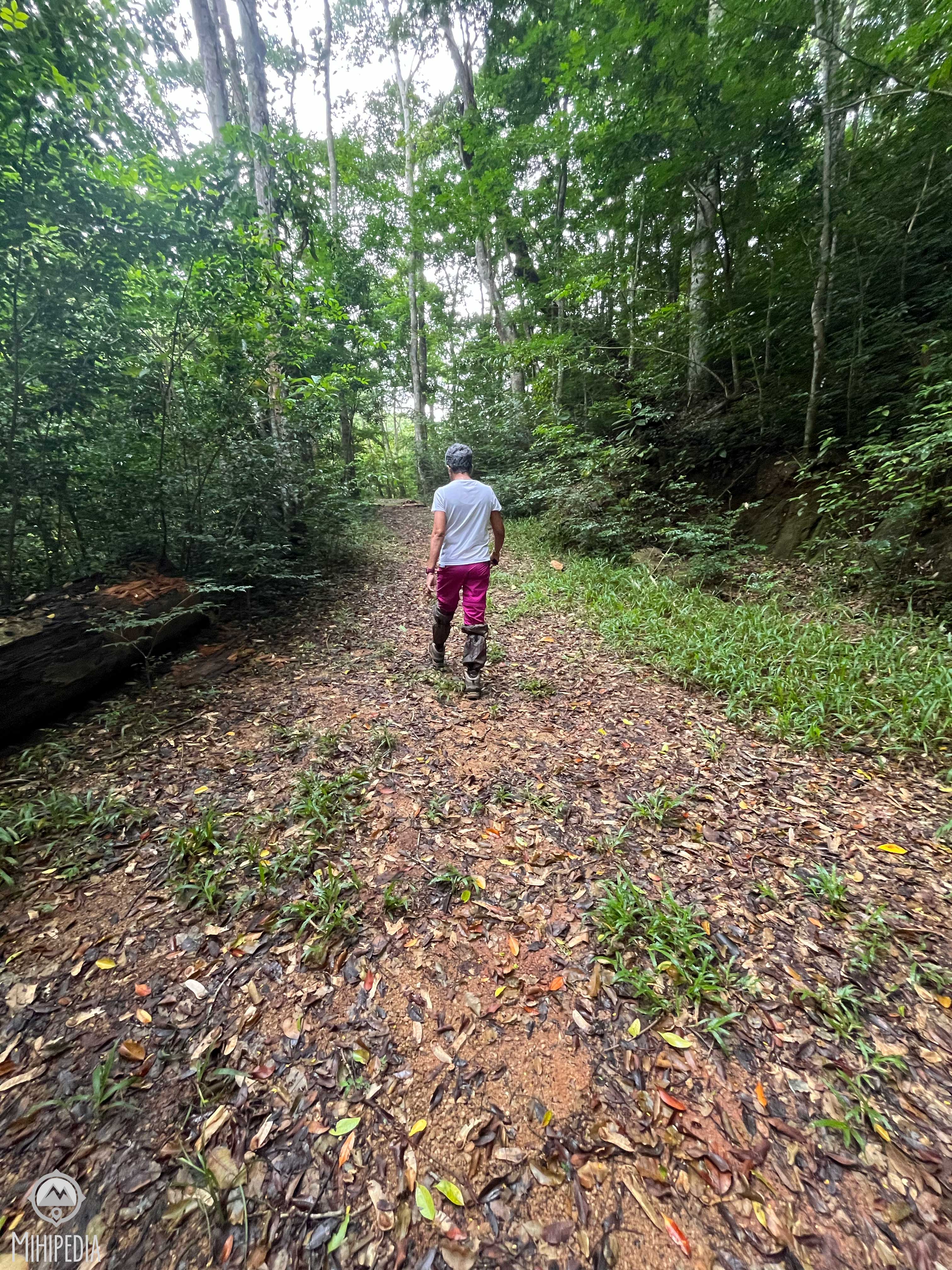 Exploring Dunumadalawa. Kandy Sri Lanka – Mihipedia.lk
